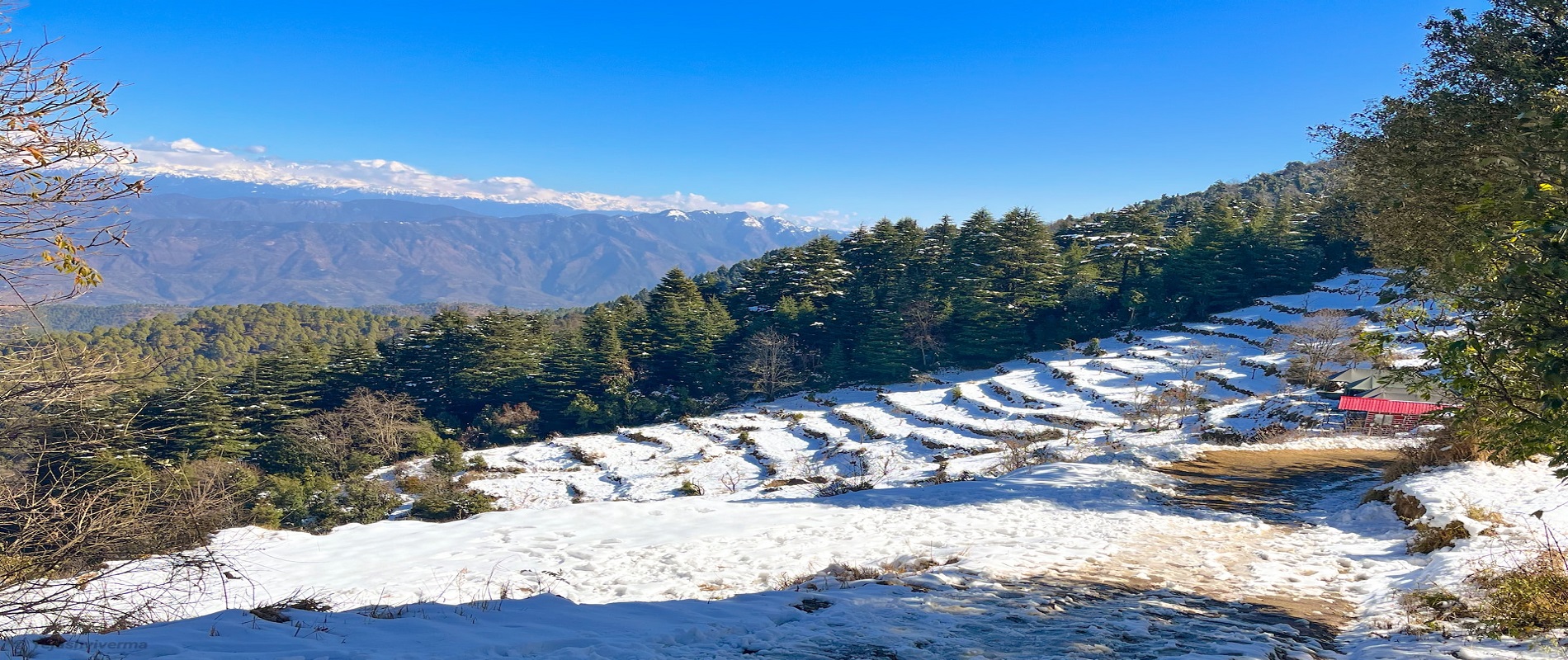 Kanatal Tourist Information, Kanatal Tourism, Tourist Place & Guide